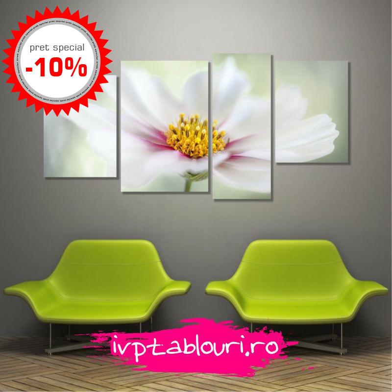 Tablou multicanvas natura NAT401 | IVP Tablouri